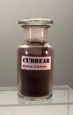 Small sample bottle - Cudbear (mixture of lichens) - SDC Textile Collection